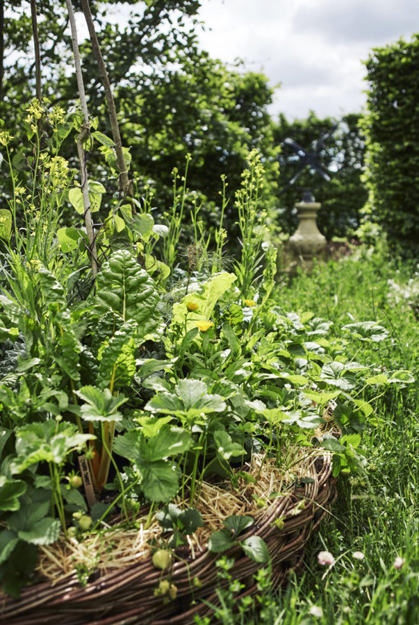 Jay Davey Bespoke Willow - Bespoke Willow