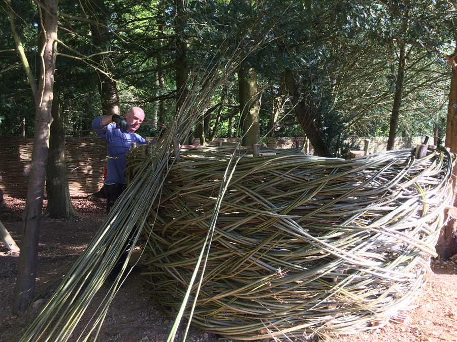 Jay Davey Bespoke Willow - Bespoke Willow