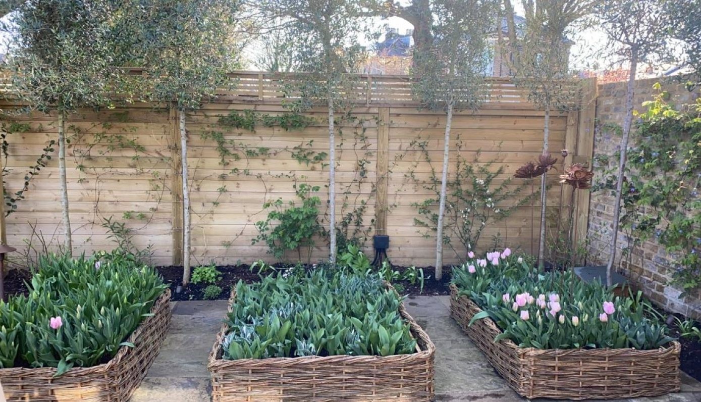 Jay Davey Bespoke Willow - Bespoke Willow