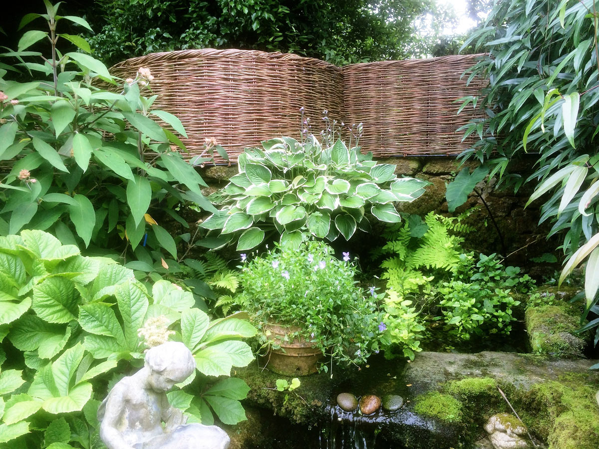 Jay Davey Bespoke Willow - Insitu Willow