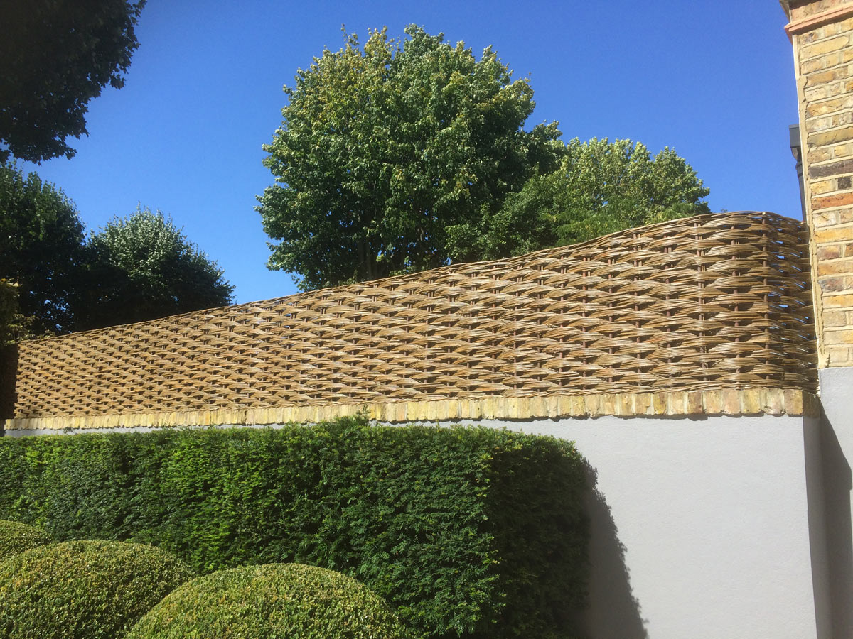 Jay Davey Bespoke Willow - Insitu Willow