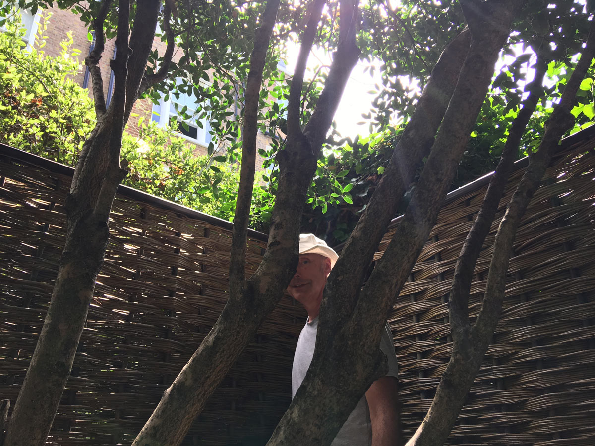 Jay Davey Bespoke Willow - Insitu Willow