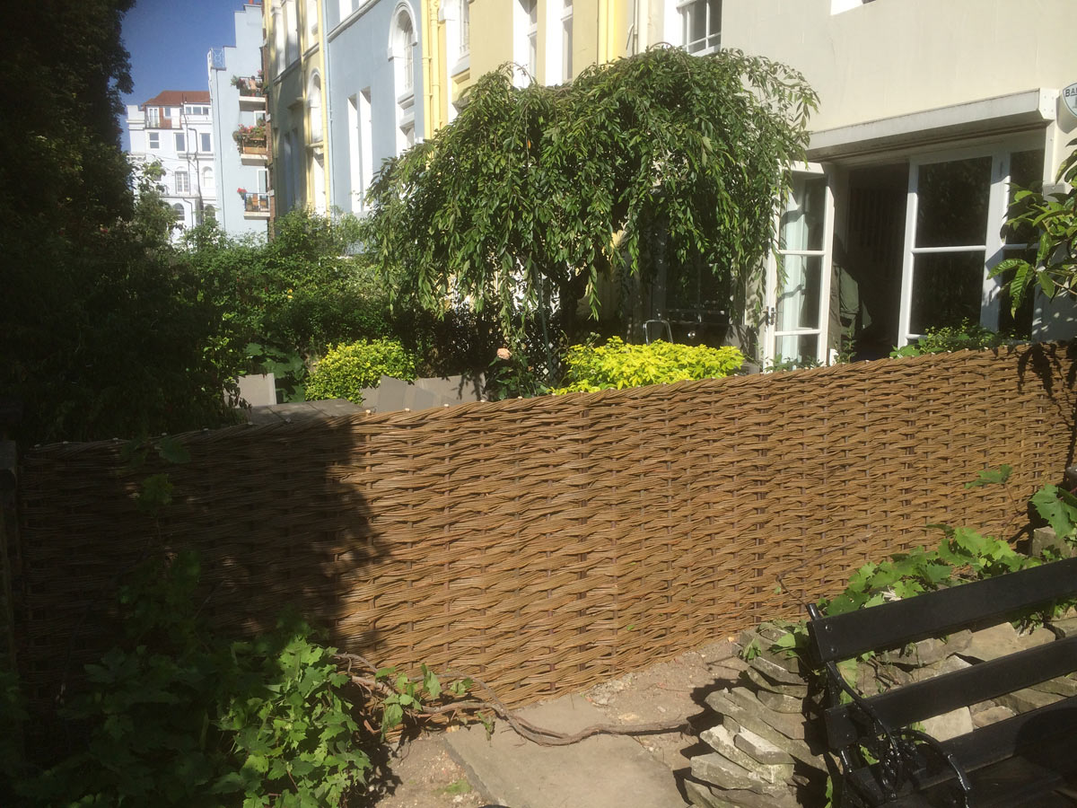 Jay Davey Bespoke Willow - Insitu Willow