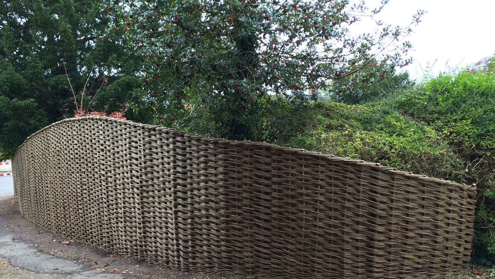 Jay Davey Bespoke Willow - Insitu Willow