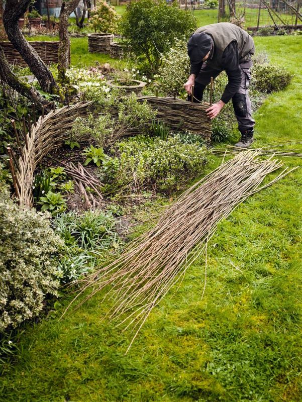 Jay Davey Bespoke Willow - Insitu Willow