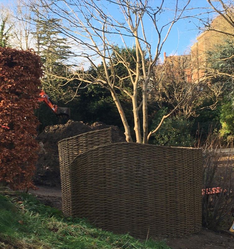 Jay Davey Bespoke Willow - Insitu Willow