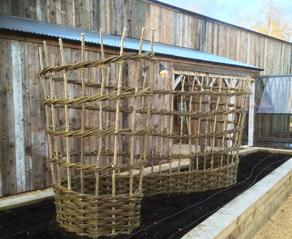 Jay Davey Bespoke Willow - Insitu Willow