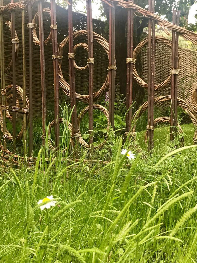 Jay Davey Bespoke Willow - Insitu Willow