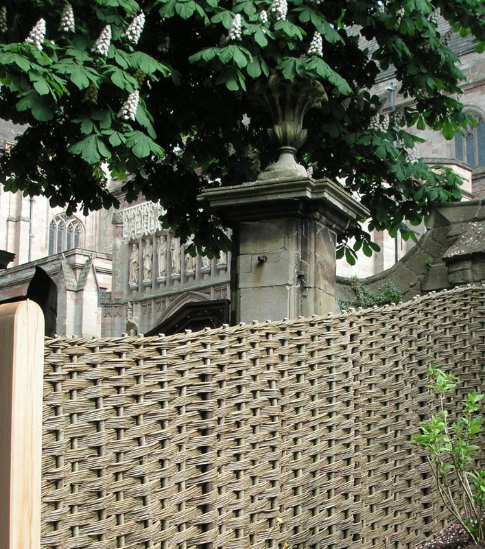 Jay Davey Bespoke Willow - Insitu Willow