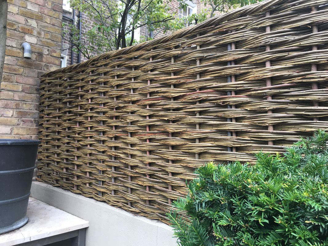 Jay Davey Bespoke Willow - Insitu Willow