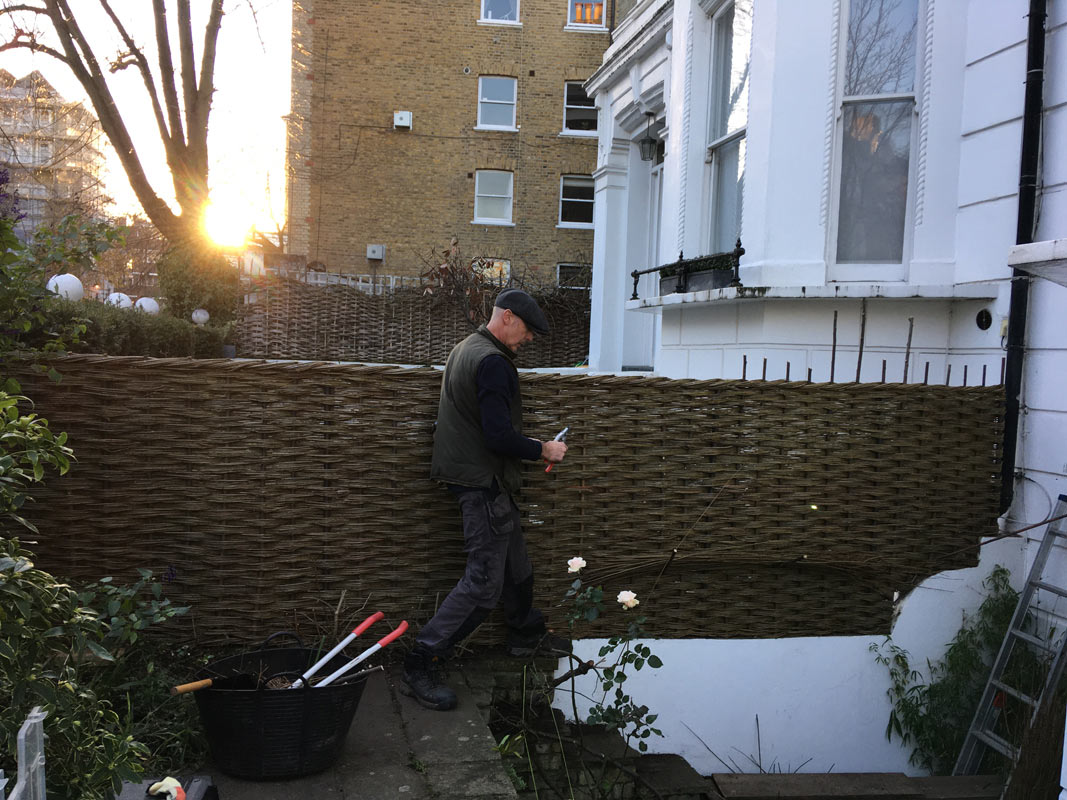 Jay Davey Bespoke Willow - Insitu Willow