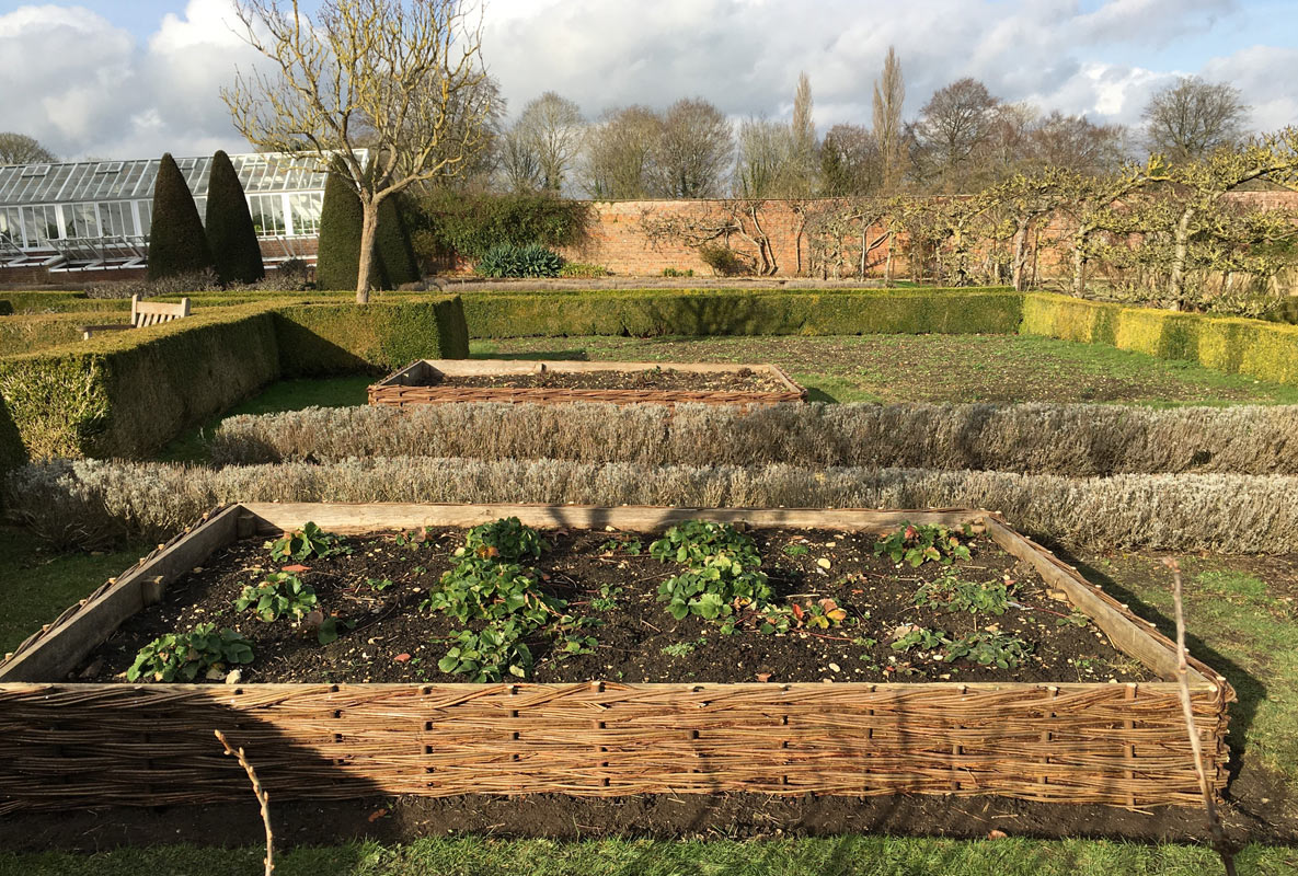 Jay Davey Bespoke Willow - Insitu Willow