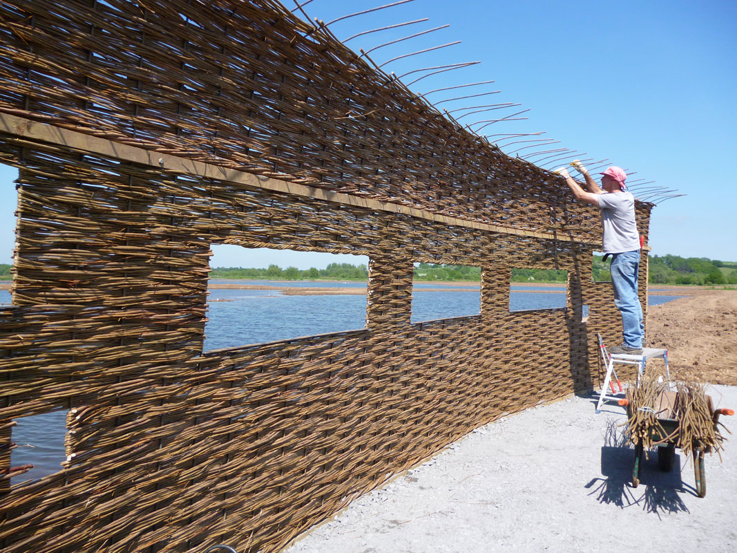 Jay Davey Bespoke Willow - Insitu Willow